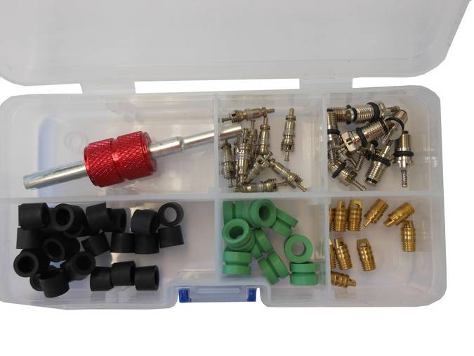 Schrader Valve Replacement Kit At Jai Patrick Blog